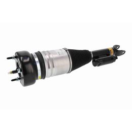 VEMO Luftfederbein v30500050 Vorderachse rechts f&uuml;r Mercedes