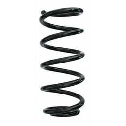 SPIDAN Fahrwerksfeder 87207 Hinterachse f&uuml;r BMW