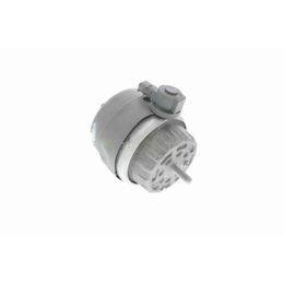 VAICO Lagerung, Motor Original Qualit&auml;t v103134 vorne links f&uuml;r VAG