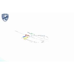 VAICO &Ouml;lpeilstab EXPERT KITS + v302370 f&uuml;r Mercedes