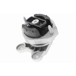 VAICO Lagerung, Motor Original Qualit&auml;t v101567 vorne rechts f&uuml;r VW VAG Audi