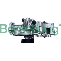 BORSEHUNG Wasserpumpe b11216 f&uuml;r BMW