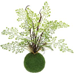 Kunstpflanze I.GE.A. "Farnbusch auf Mooskugel", gr&uuml;n, B:28cm H:33cm L:28cm, Kunststoff, Kunstpflanzen, Kunstpflanze, K&uuml;nstliche Pflanze Waldfarn