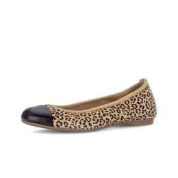 Ballerina Gabor "Eleganter Ballerina", Damen, Gr. 37,5, beige, Schuhe Ballerina