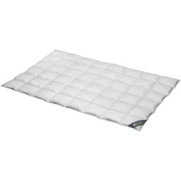 Daunenbettdecke Spessarttraum "Wildente Bettdecken 135x200cm & weitere Gr&ouml;&szlig;en", silber (silberfarben), B:240cm L:220cm, Bezug: 100% Baumwolle. F&uuml;llung: 100% Daunen, Bettdecken, Bettdecken Ganzjahresbettdecke, Winter, Sommer