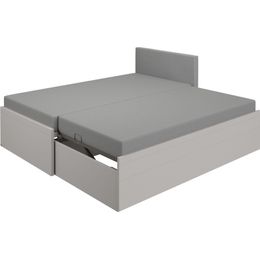 Jugendbett Paidi "FLYNN in verschiedenen Ausf&uuml;hrungen, Ausziehbett mit 2 Liegefl&auml;chen", grau (kieselgrau, steingrau), B:106cm H:92cm L:211cm, Betten, Jugendbett, G&auml;stebett, Metallgestell inkl. Lattenroste, 2-in-1 Funktionsbett, Topseller