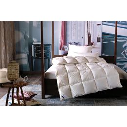 Federbettdecke Billerbeck "Ebby 50 Mono, Bettdecke in 135x200, 155x220, 200x200 cm, Sommer", wei&szlig;, B:135cm L:200cm, Bezug: 100% Baumwolle. F&uuml;llung: 50% Daunen, 50% Federn, Bettdecken, Die Feder- /Daunendecke f&uuml;r das ganze Jahr