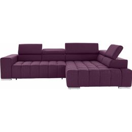 Ecksofa exxpo - SOFA FASHION "Elias, aktuelle Kreuzsteppung im Sitz, bequem, Breite 307cm, L-Form", rot (hortensia), B:307cm H:94cm T:201cm, Struktur ( 100% Polyester), Sofas, Ecksofa, mit Kopf- bzw. R&uuml;ckenverstellung, wahlweise mit Bettfunktion