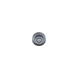 Bosch Umlenk-/F&uuml;hrungsrolle, Keilrippenriemen 1987600094 f&uuml;r SEAT VW
