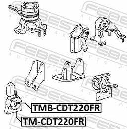 FEBEST Lagerung, Motor tmcdt220fr vorne f&uuml;r TOYOTA