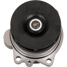 GATES Wasserpumpe wp0141 f&uuml;r BMW