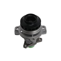 Valeo Wasserpumpe 529200 f&uuml;r Opel Vaughall RENAULT Mercedes NISSAN