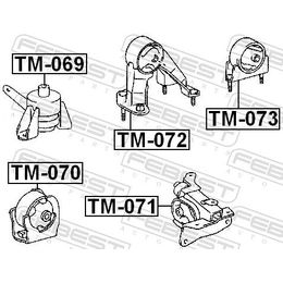 FEBEST Lagerung, Motor tm069 vorne rechts f&uuml;r TOYOTA