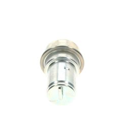 Bosch Druckspeicher, Kraftstoffdruck 0438170004 f&uuml;r FERRARI Mercedes ROLLS-ROYCE PUCH