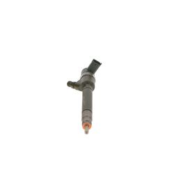 Bosch Einspritzd&uuml;se 0445110078 f&uuml;r Volvo