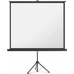MAGNETOPLAN Stativ-Leinwand, Polyester / PVC-beschichtet, mattwei&szlig;, Bildfl&auml;chen-BxH 2400 x 1350 mm