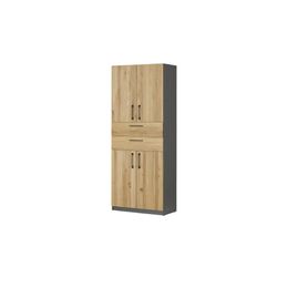 H&ouml;ffner Aktenschrank mit Massivholzfront SOLIDLine &brvbar; grau &brvbar; Ma&szlig;e (cm): B: 80 H: 198,2 T: 40.0 &raquo; H&ouml;ffner