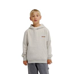 Hoodie DC Shoes "Patch It", Jungen, Gr. 10(140-148cm), beige (light erdgrau), Obermaterial: 55% Baumwolle, 25% Baumwolle, 20% Polyester., Sweatshirts Hoodie
