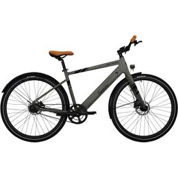 E-Bike SACHSENRAD "C3T" Gr. 48, grau, Elektrofahrr&auml;der, 48cm, 28 Zoll (71,12cm), Riemenantrieb, Nur 18 kg (ohne Gep&auml;cktr&auml;ger und Schutzbleche)