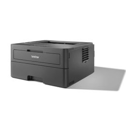 Brother HL-L2445DW, Schwarz Multifunktionsdrucker (Laserdrucker, WLAN, USB, AirPrint, A4)
