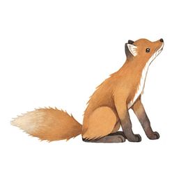 lilipinso Wandsticker gro&szlig;er Fuchs orange