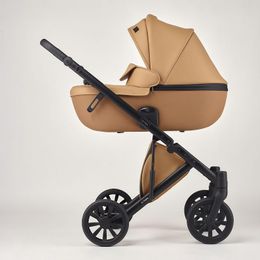 Anex Kinderwagen - e/type 3in1