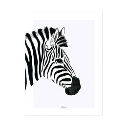 Poster schwarz weiss Zebra von lilipinso