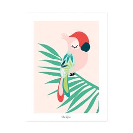 lilipinso Poster schlafender Papagei rosa rot gr&uuml;n