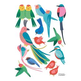 lilipinso Wandsticker A3 tropische V&ouml;gel bunt