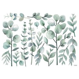 lilipinso Wandsticker L Eucalyptuszweige zartgr&uuml;n