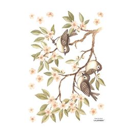 lilipinso Wandsticker A3 Spatzen auf Ast gr&uuml;n rosa braun