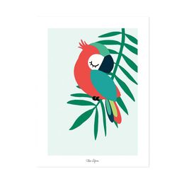 lilipinso Poster schlafender Papagei gr&uuml;n rot