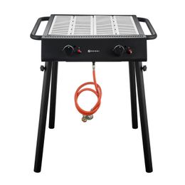 ich-zapfe Gasgrill - aus Edelstahl, 2 Brenner, 540x540 mm Rostfl&auml;che, mit Abnehmbaren Beinen und Elektronischer Z&uuml;ndung