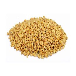 ich-zapfe Gerstenmalz, Wiener malz - Weyermann Wiener 6 (9 EBC) - 25 kg Sack, Brauen Sie einzigartige Ale-Biere!