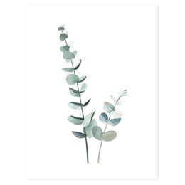 lilipinso Poster Eucalyptus zartgr&uuml;n