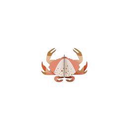 Studio ROOF Ornament, Bastel-Set, 3D Wandobjekt - Krabbe