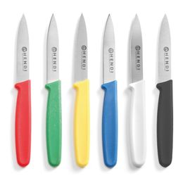 ich-zapfe K&uuml;chenmesser Set, Sch&auml;lmesser - Set, 6 Farben, Walzstahlklinge mit Polypropylen-Griff, 75/175 mm