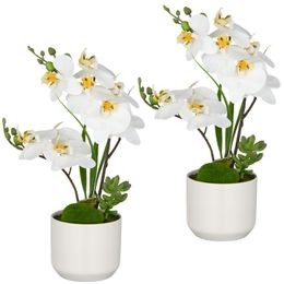 Kunstorchidee Creativ green "Orchidee Phalaenopsis", wei&szlig;, H:30cm, Kunststoff, Kunstpflanzen, mit real-touch-Bl&uuml;ten