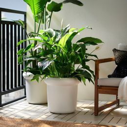 IKEA M&Aring;B&Auml;RSBUSKE Blumentopf