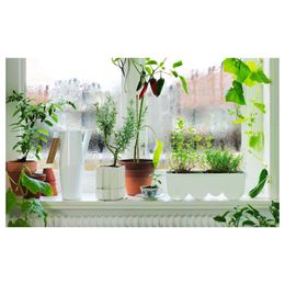 IKEA BITTERGURKA Gie&szlig;kanne