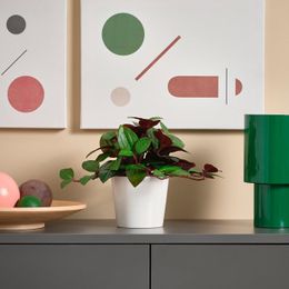 IKEA FEJKA Topfpflanze, k&uuml;nstlich