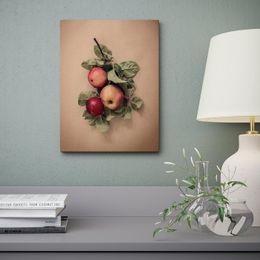 IKEA PJ&Auml;TTERYD Bild