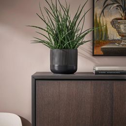 IKEA GRADVIS &Uuml;bertopf