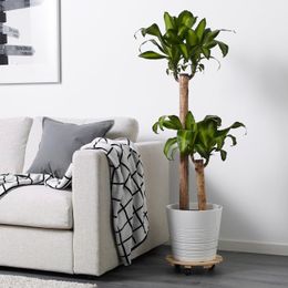 IKEA VILDAPEL Pflanzenrollwagen
