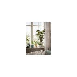 IKEA CHIAFR&Ouml;N &Uuml;bertopf