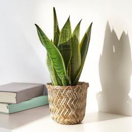 IKEA KLYNNON &Uuml;bertopf
