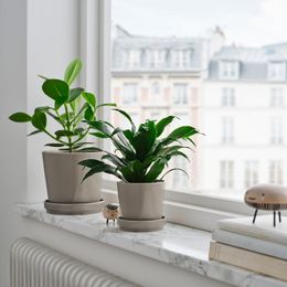 IKEA KLOTL&Ouml;NN Blumentopf mit Untersetzer