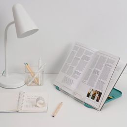 IKEA B&Ouml;NSYRSA Buchhalter