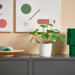 IKEA FEJKA Topfpflanze, k&uuml;nstlich
