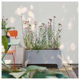 IKEA ASPAREN Pflanzelement